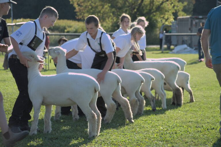 Durham Fall Fair - Durham Agricultural Society - Durham Fall Fair